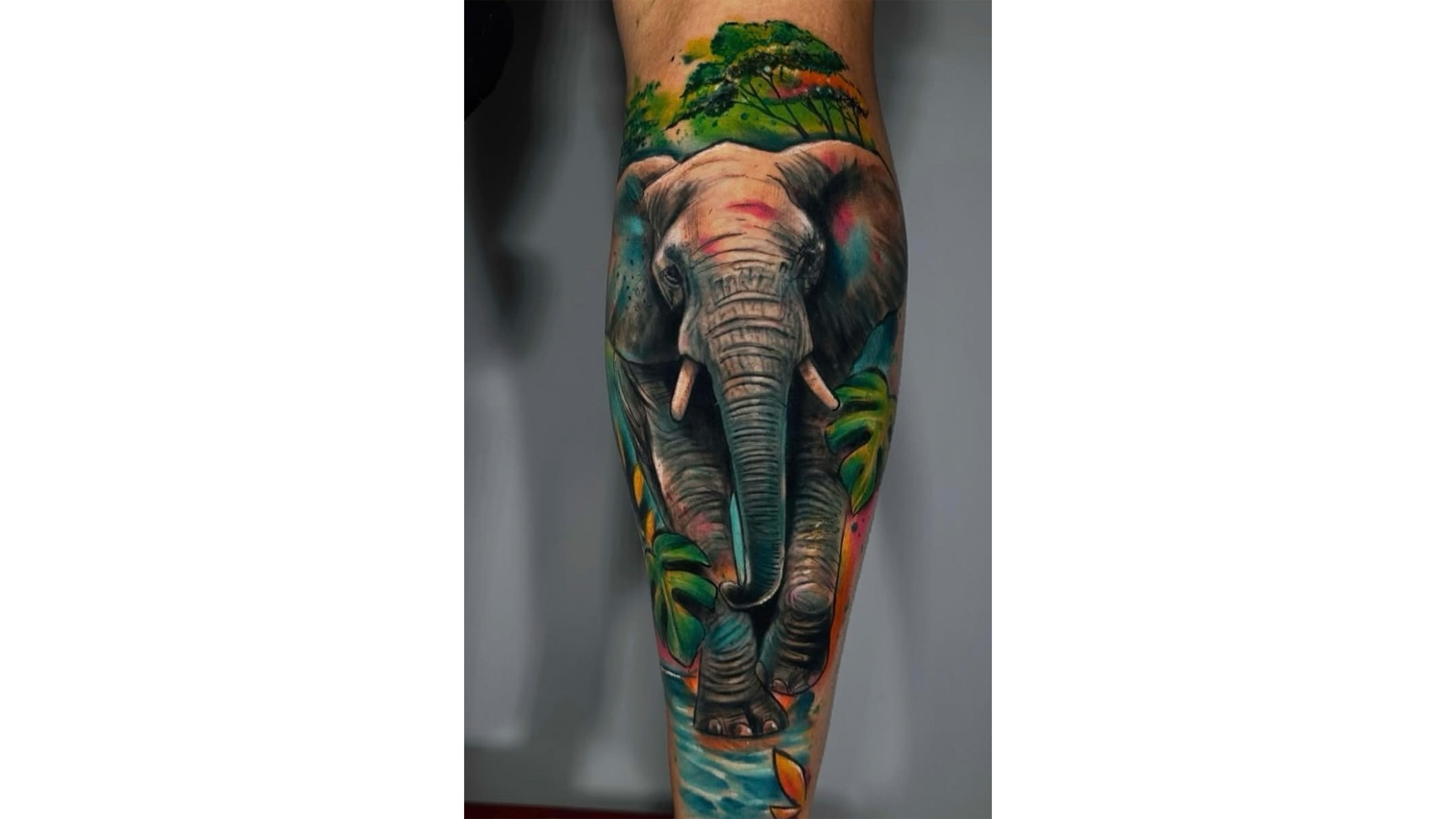 The Majesty of Elephant Tattoos: Symbolism, Meaning, and Design Inspir – After Inked